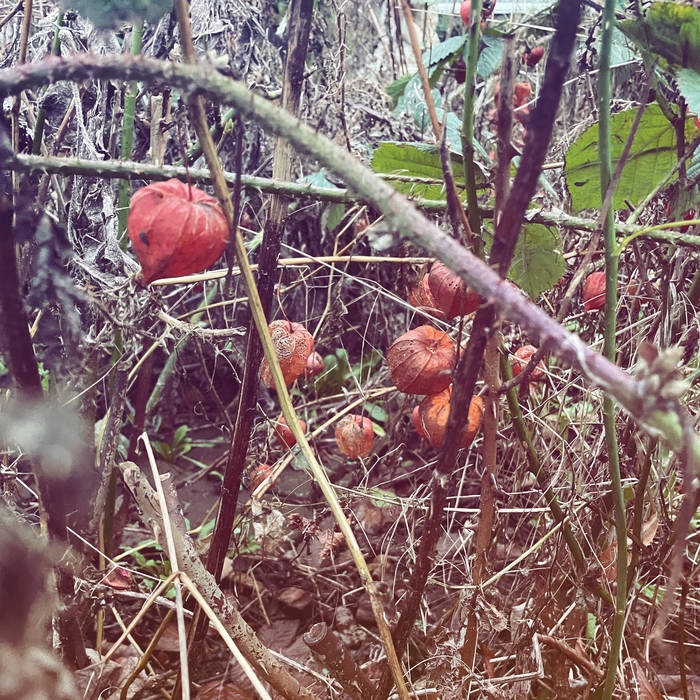 Good Good Blood – ‘Bosses’ | Spectral Nights - alternative music, indie ...